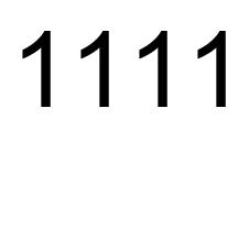 1111 number facts