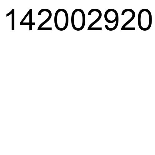 142002920 number facts, meaning and properties