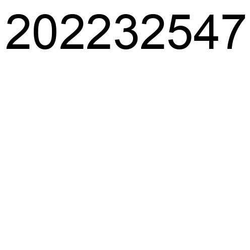 202232547 number facts, meaning and properties