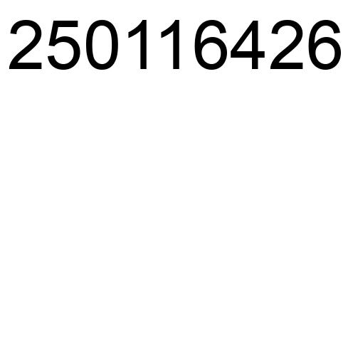 250116426 number, meaning and properties - Number.academy