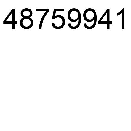 48759941 number facts, meaning and properties