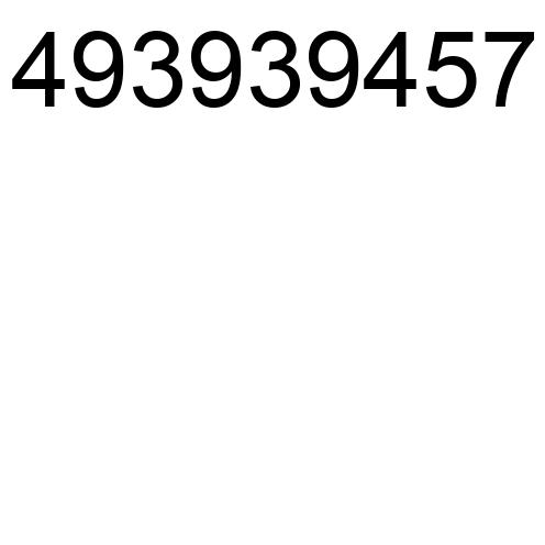 493939457 number facts, meaning and properties