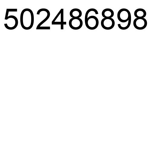 502486898 number, meaning and properties - Number.academy