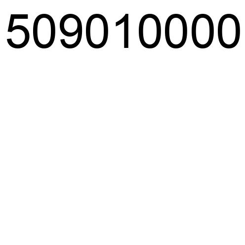 509010000 number, meaning and properties - Number.academy