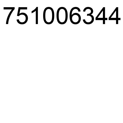 751006344 number facts, meaning and properties