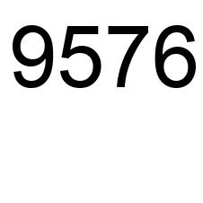 9576 number facts